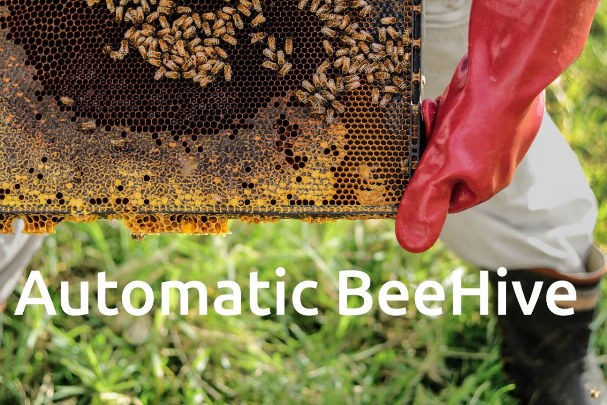 How to make a homemade DIY beehive step by step - Ikkaro