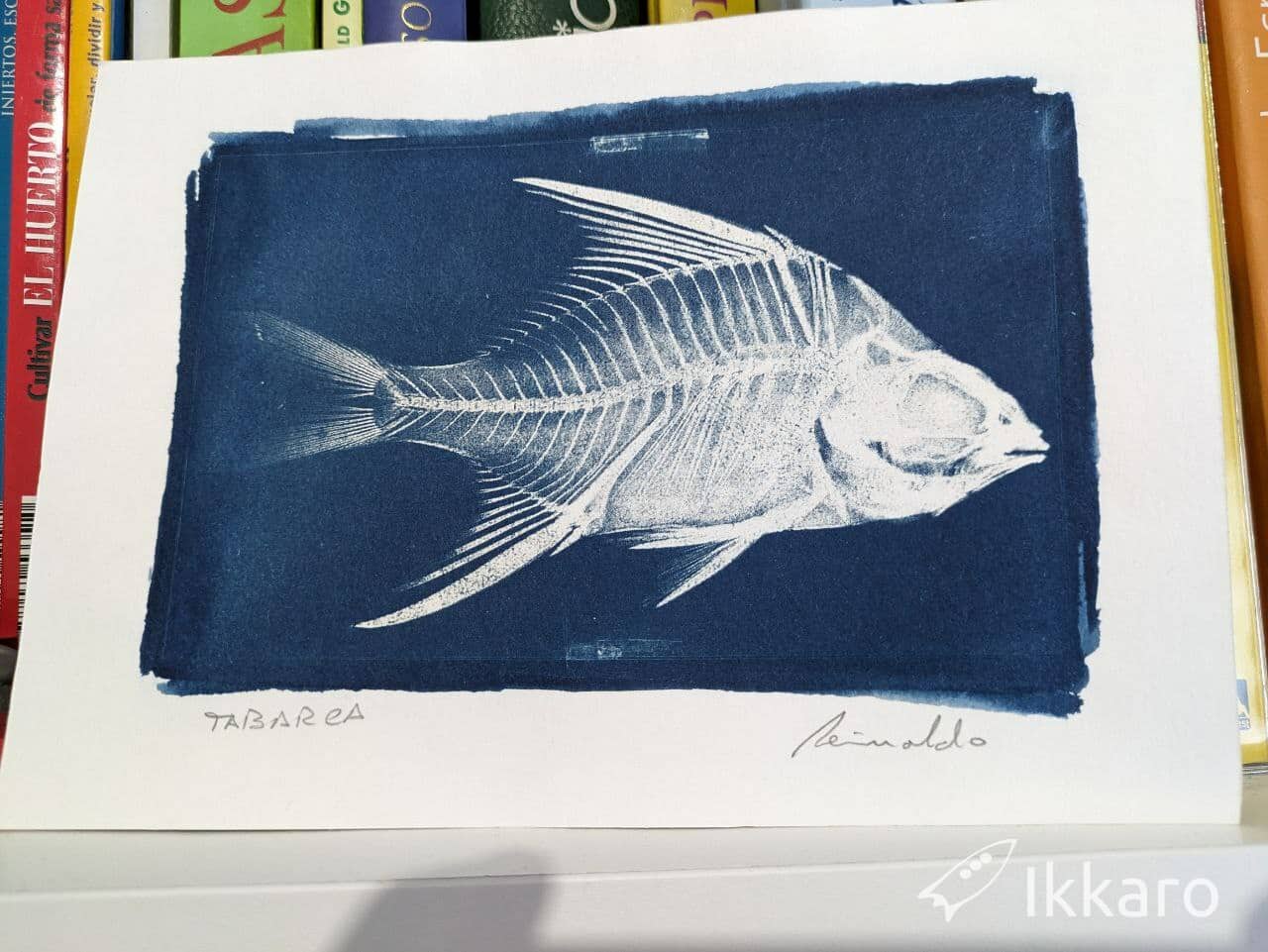 What is cyanotype and how to start taking photos in Prussian Blue - Ikkaro